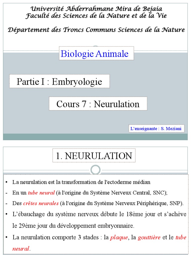 Cours 07....... Neurulation PDF | PDF | la reproduction | Zoologie