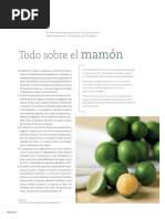 El Mamon en Venezuela | PDF | Alimentos | Plantas comestibles
