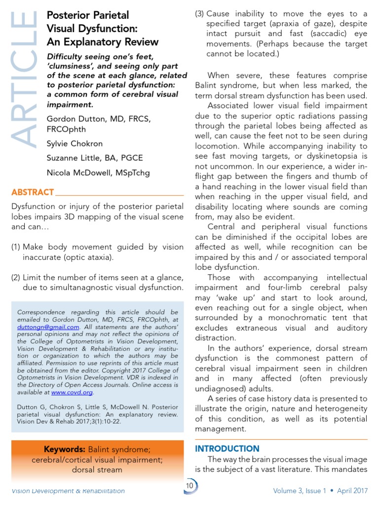 VDR 3 1 Dutton | PDF | Parietal Lobe | Nervous System