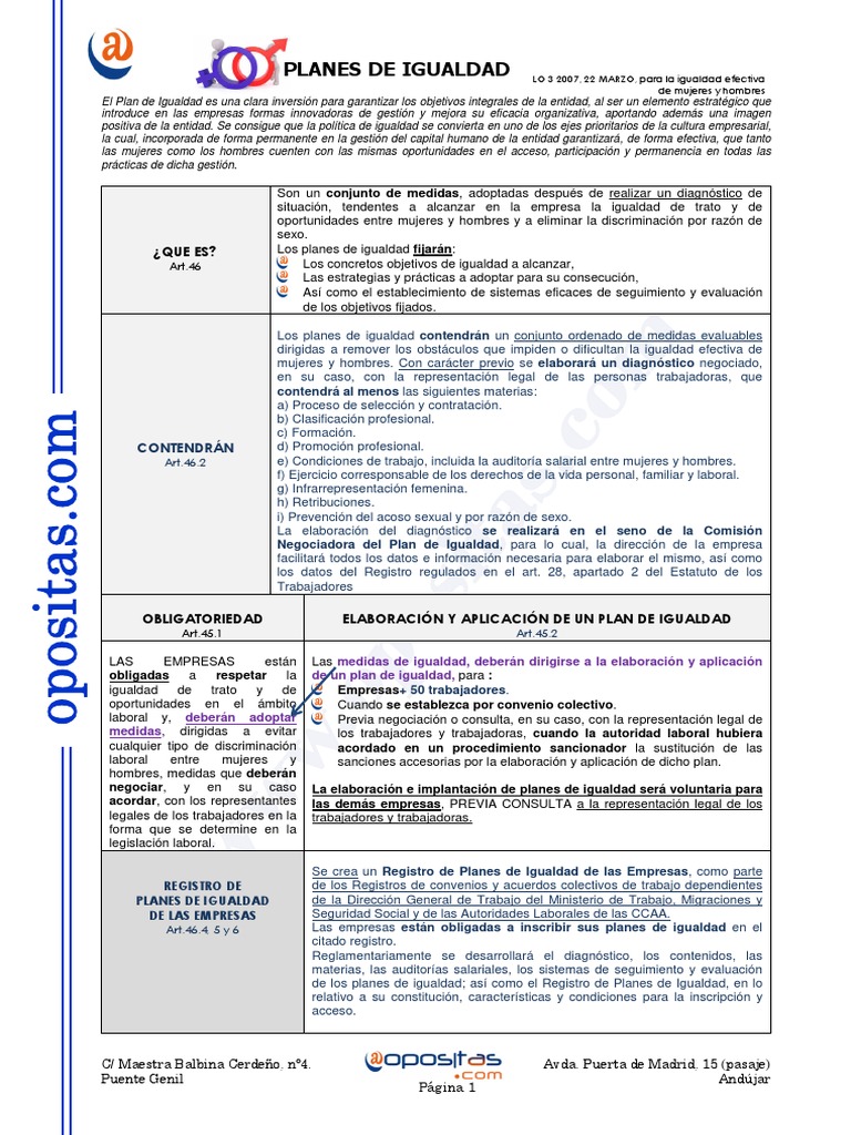 Demo Esquema | PDF | Igualdad de género | Estudios de género