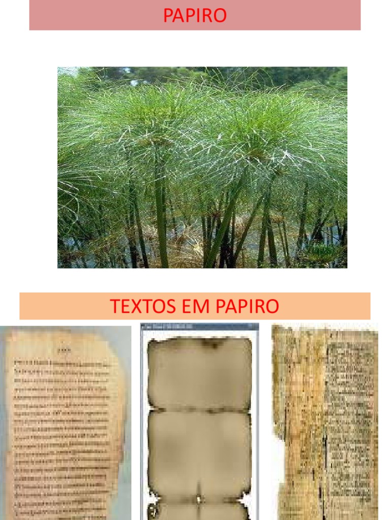 Papiros e Manuscritos Bíblicos | PDF | Septuaginta | Bíblia hebraica