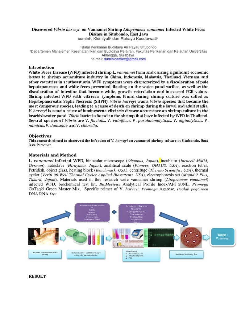 BAB 5 FIX (3x) | Download Free PDF | Polymerase Chain Reaction | Biology