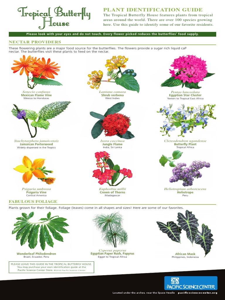 Tropical Plant Identification Guide