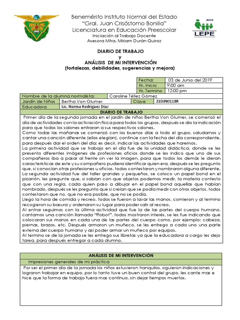 Diario de Trabajo | PDF | Educación de la primera infancia | Corazón
