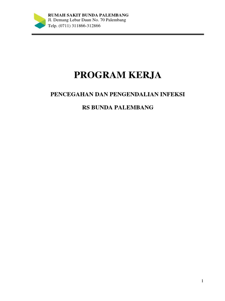 Program Kerja Ppi Rs Bunda New | PDF