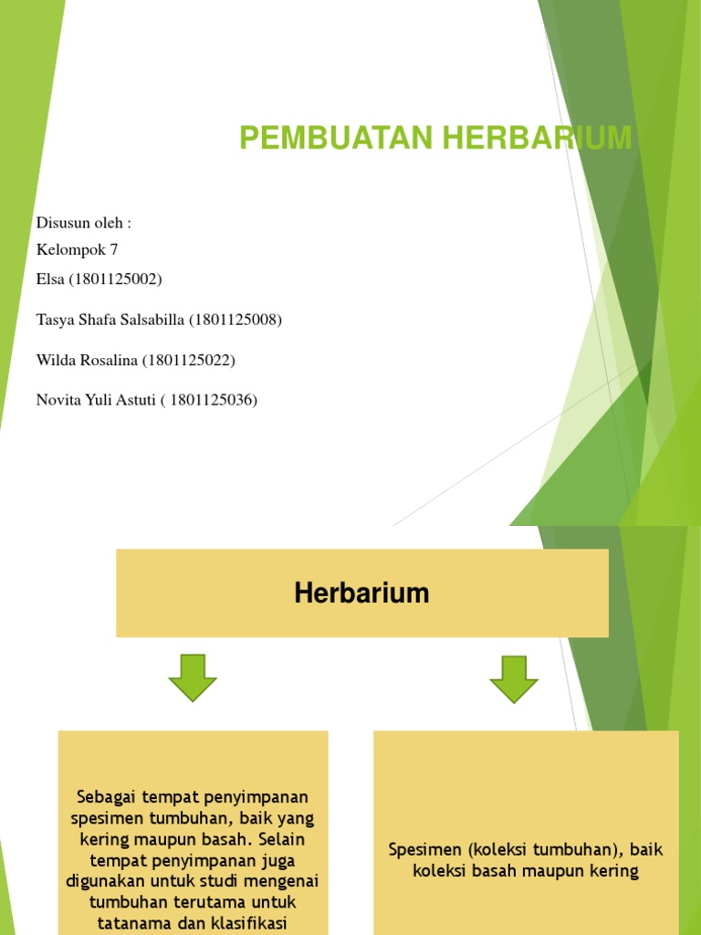 HERBARIUM | PDF