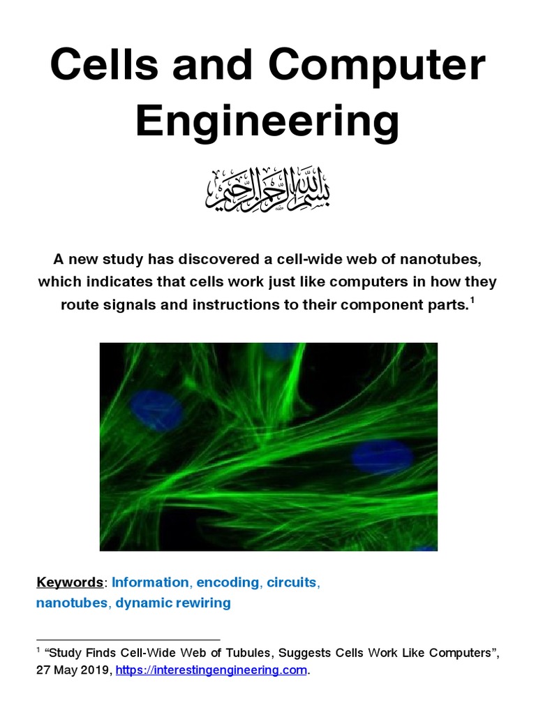 Cells Function Like Biological Computers Through a Cell-Wide Network of ...