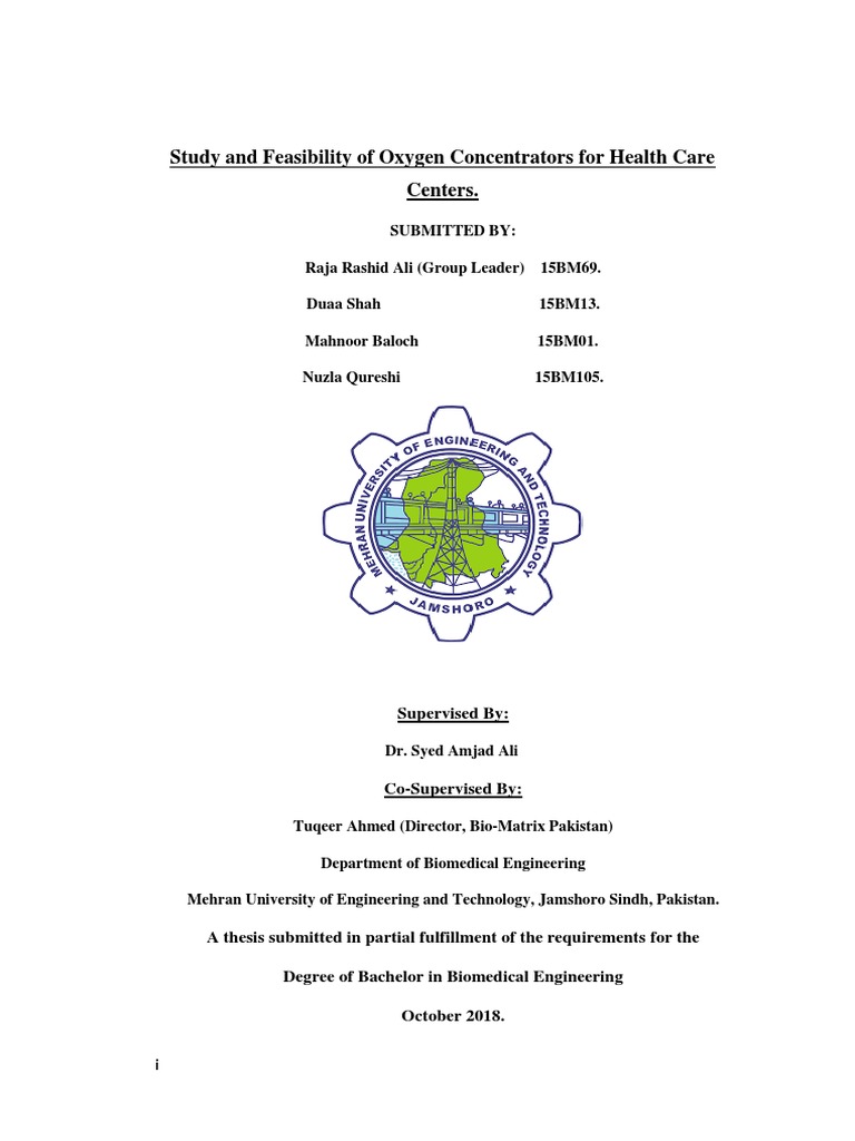 Final Year Thesis | PDF | Zeolite | Oxygen