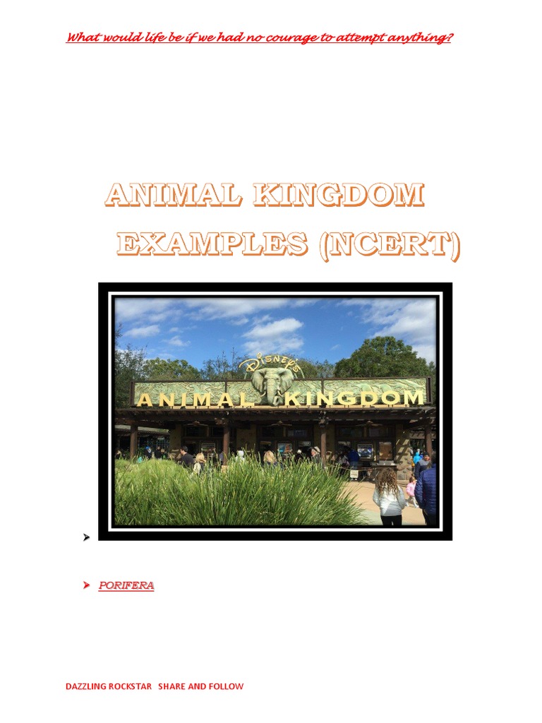 Animal Kingdom Examples @DR | PDF | Organisms | Nature