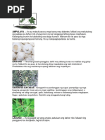 Halamang Dahon | PDF