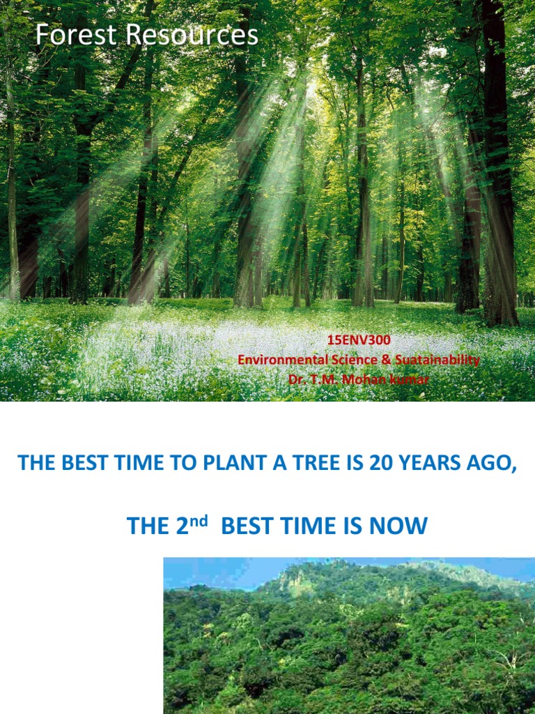 15 Forest Resources - ENV 300 | PDF | Forests | Biodiversity