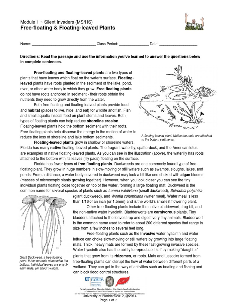 M 1 Lessons Free Floating Reading Ms Hs | PDF | Aquatic Ecosystem ...