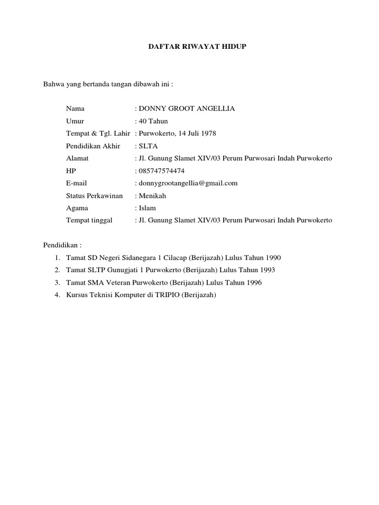 CV - Donny Groot Angellia | PDF