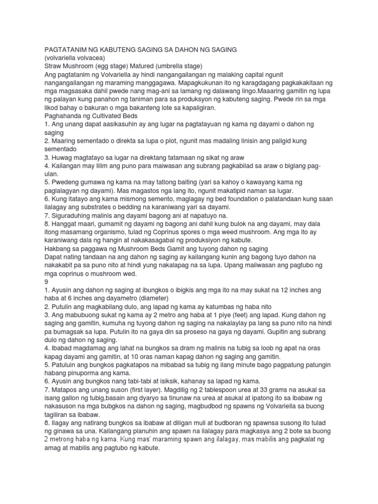 Kabuting Saging Mushroom Planting | PDF