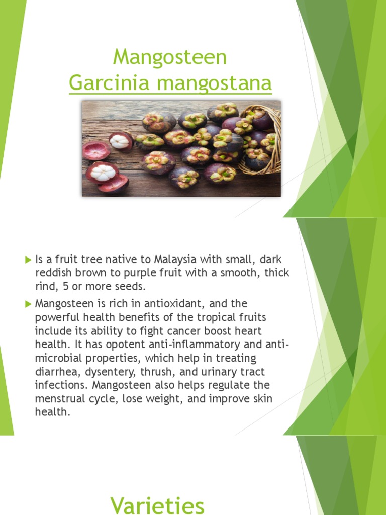 The Health Benefits and Propagation Methods of the Mangosteen Fruit ...