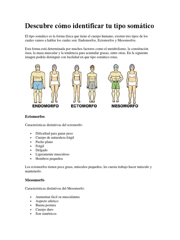 Descubre Tu Tipo de Cuerpo (Somatico) | PDF | Músculo | Carbohidratos