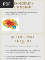PDF 3 - Biodescodificacion - Mesodermo Antiguo | PDF | Piel | Epitelio