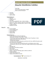 Two-Level Wells Score for DVT Assessment | PDF