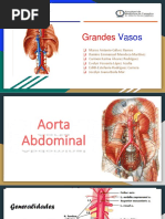 Irrigación e Inervación del Colon | PDF | Intestino grueso | Recto