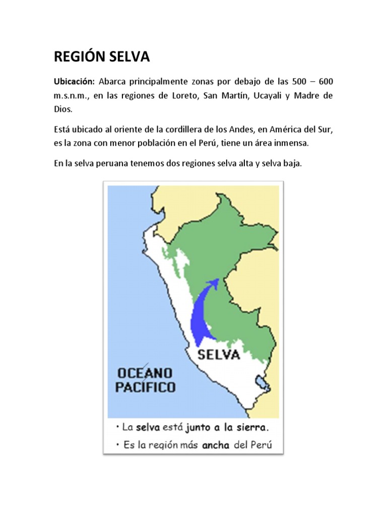 Ubicación y características de la Selva Peruana | PDF | Selva amazónica ...