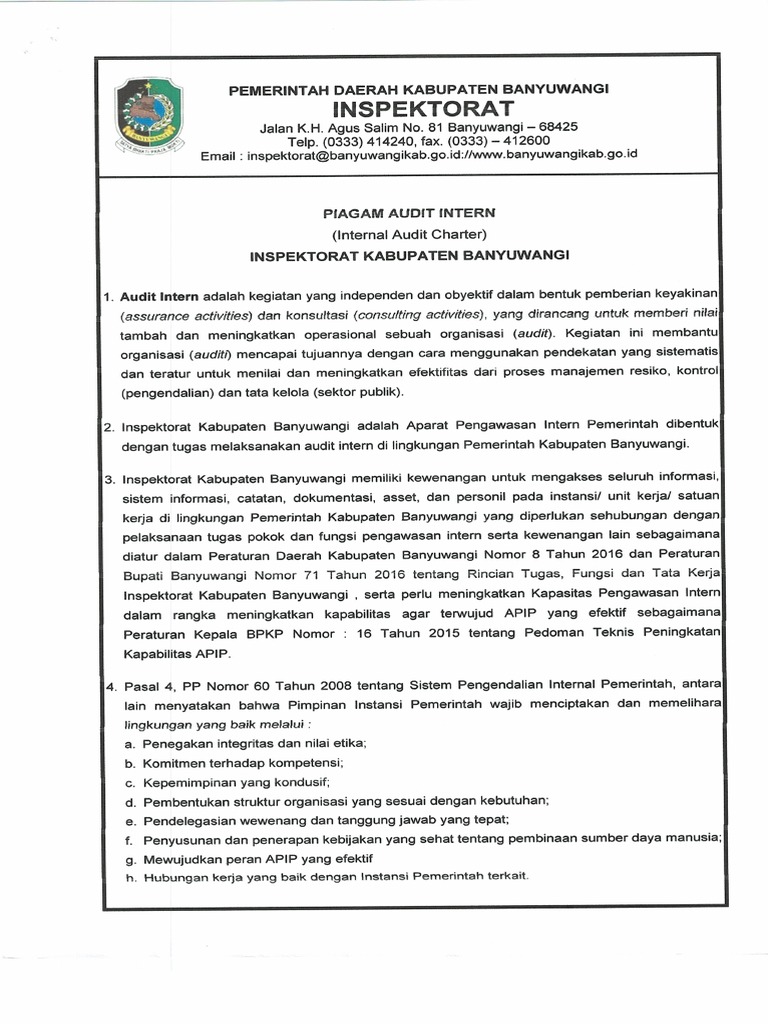 Internal Audit Charter | PDF