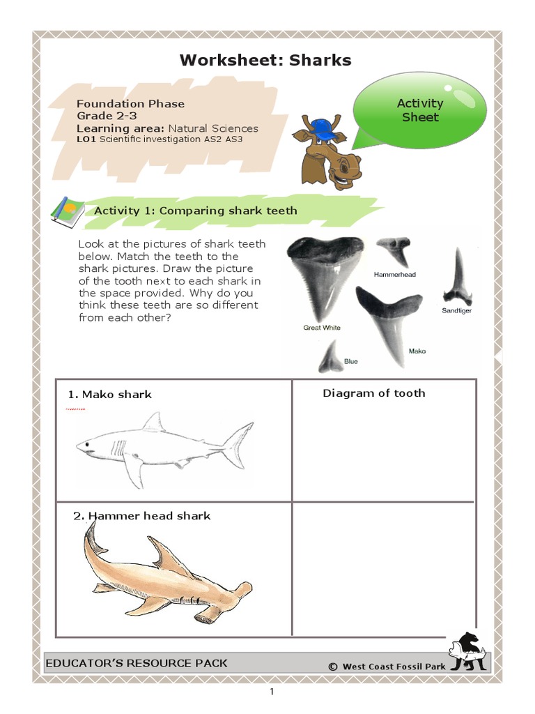 Worksheet: Sharks: Foundation Phase Grade 2-3 Learning Area: Natural ...