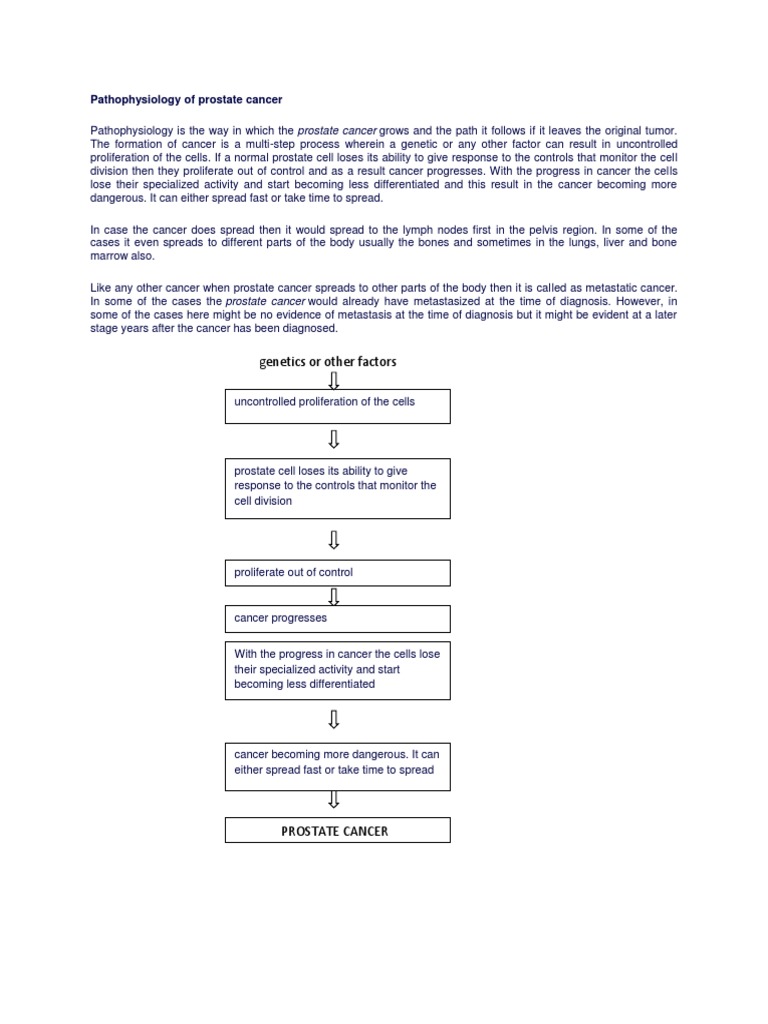 Pathophysiology of Prostate Cancer | PDF