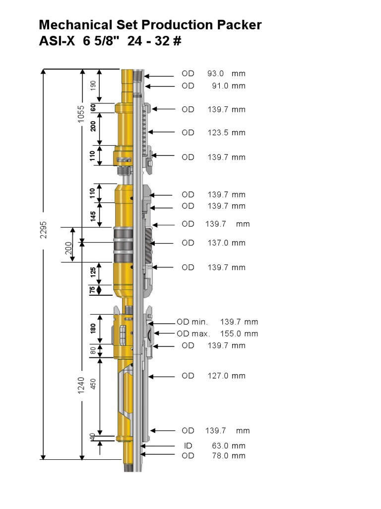 ASI-X Packer Size 6.625 | PDF