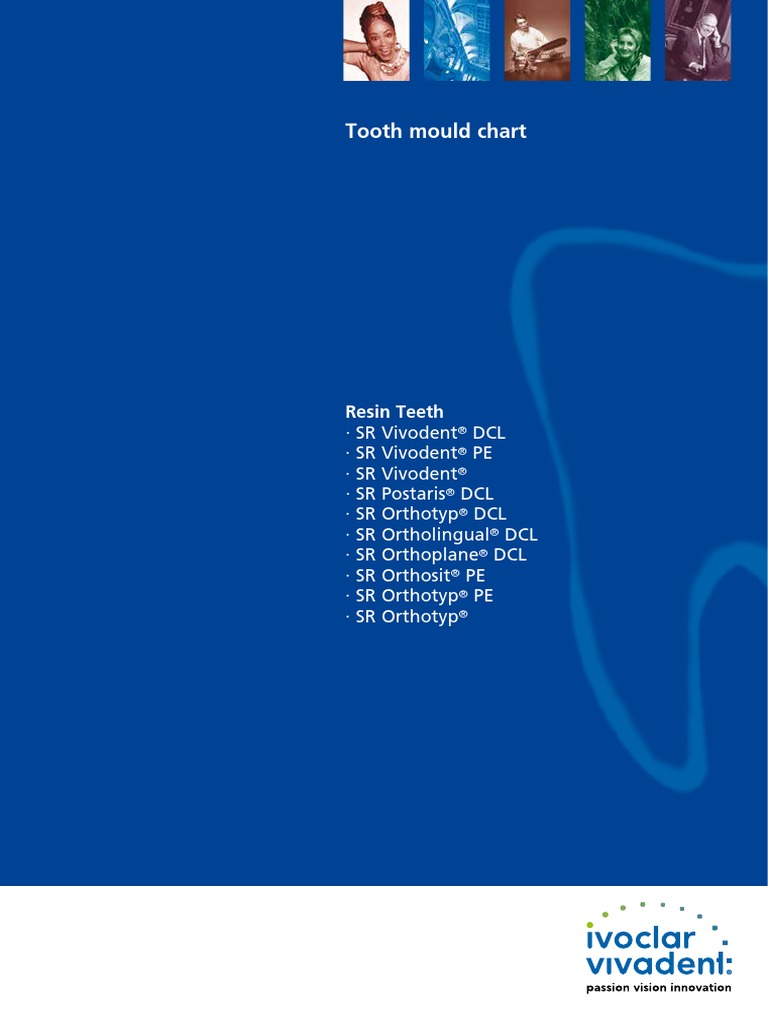 Tooth Mould Chart | PDF | Human Anatomy | Dentistry Branches