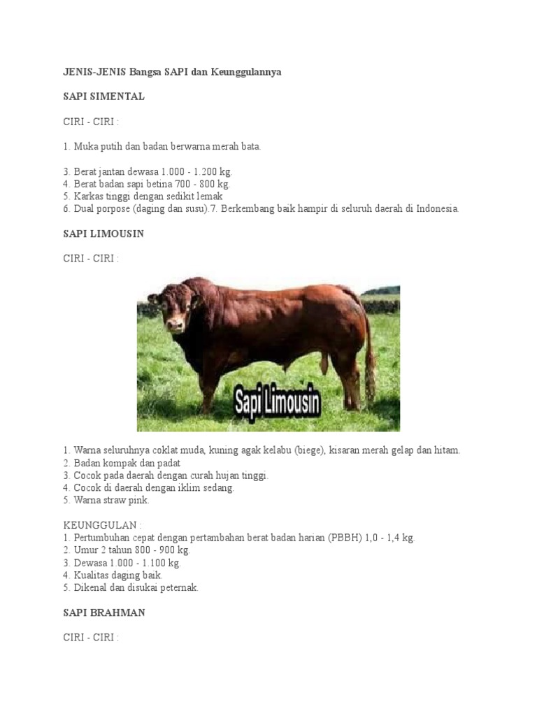 Jenis-Jenis Sapi Dan Ciri-Cirinya | PDF