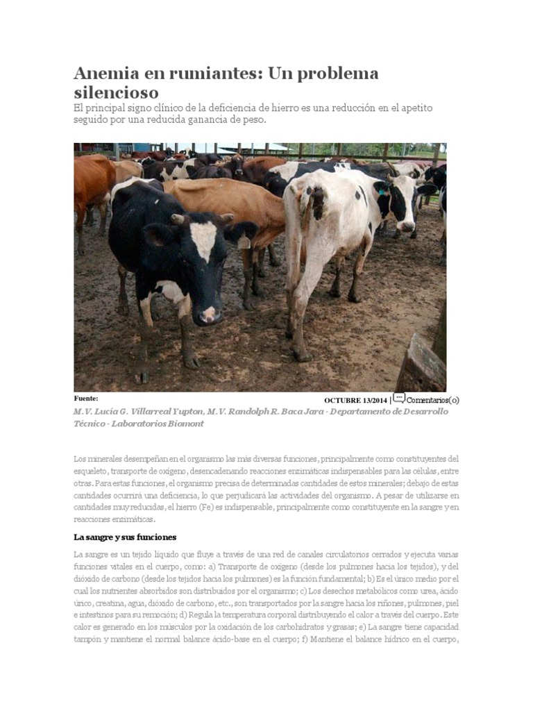Anemia en Rumiantes | PDF | Sangre | Hierro