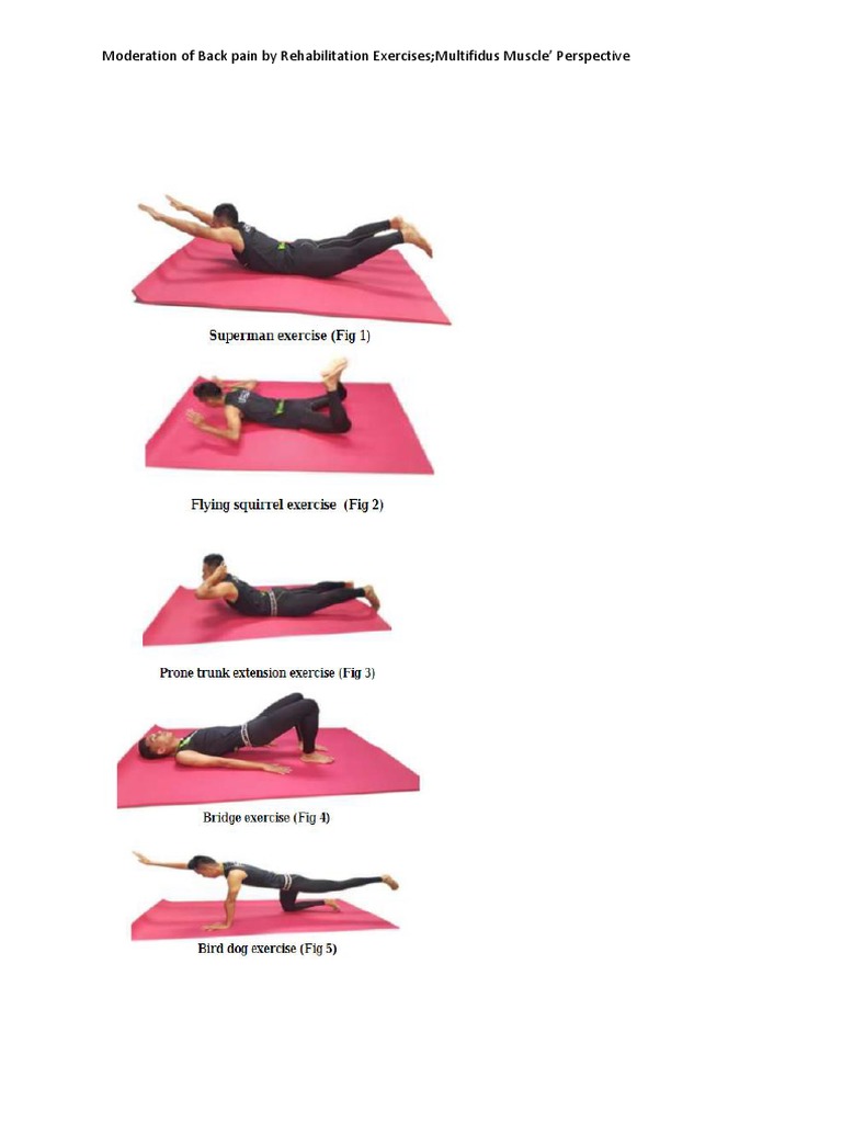 Multifidus Strengthening