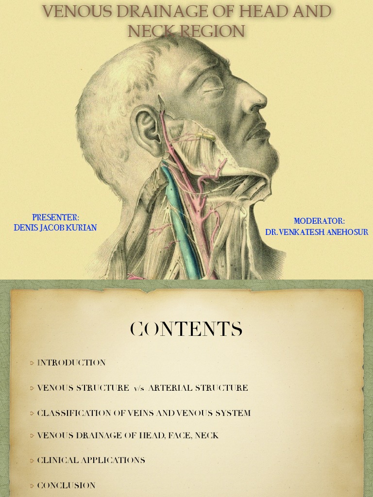 Venous Drainage of Head and Neck Region | PDF | Vein | Cardiovascular ...