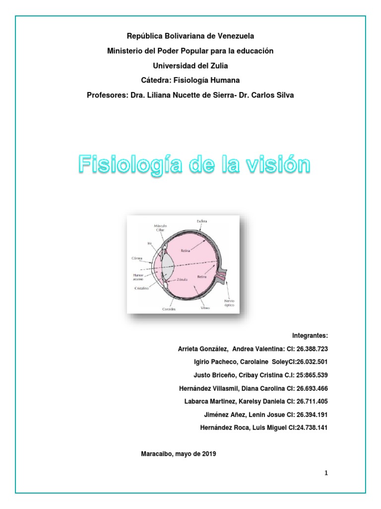 Fisiología del sentido de la vista | PDF | Percepción visual | Ojo humano