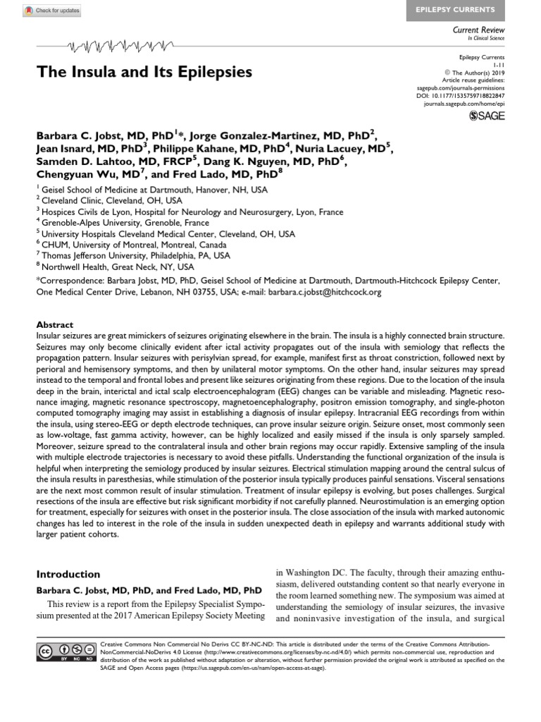 The Insula and Its Epilepsies: in Clinical Science | PDF | Insular ...