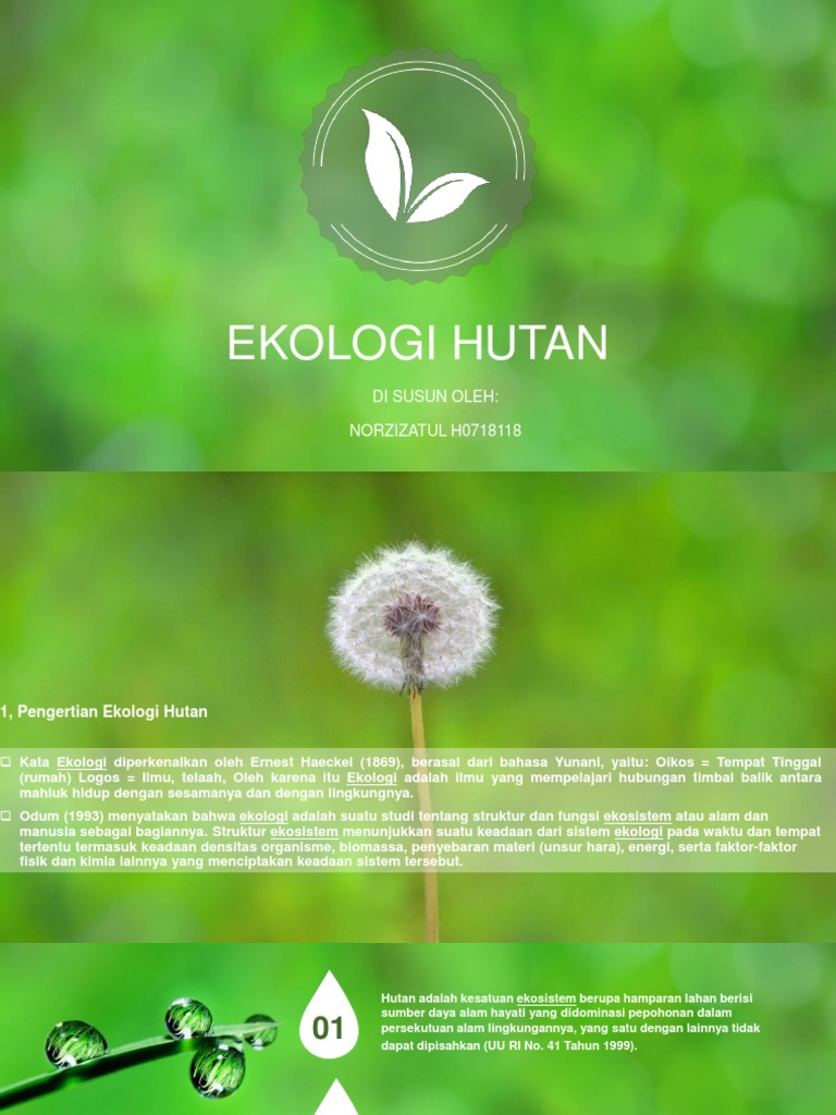 Chika EKOLOGI HUTAN PowerPoint Templates 1 | PDF