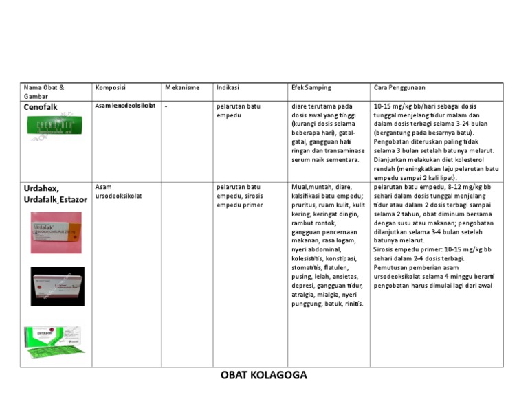 Obat Asam Ursodeoksikolat dan Indikasinya | PDF