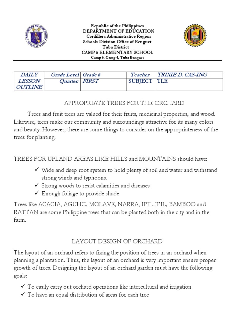 12-Layout of Orchard | PDF | Orchard | Trees