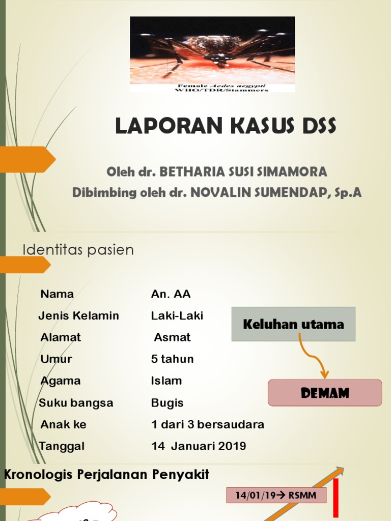Laporan Kasus DSS: Oleh Dr. Betharia Susi Simamora Dibimbing Oleh Dr. NOVALIN SUMENDAP, Sp.A ...