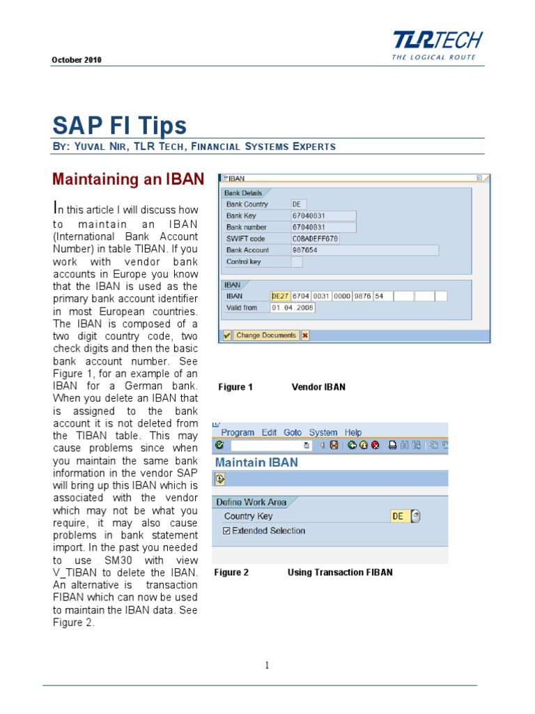 Sap Fi Tips 102010 - Iban | PDF