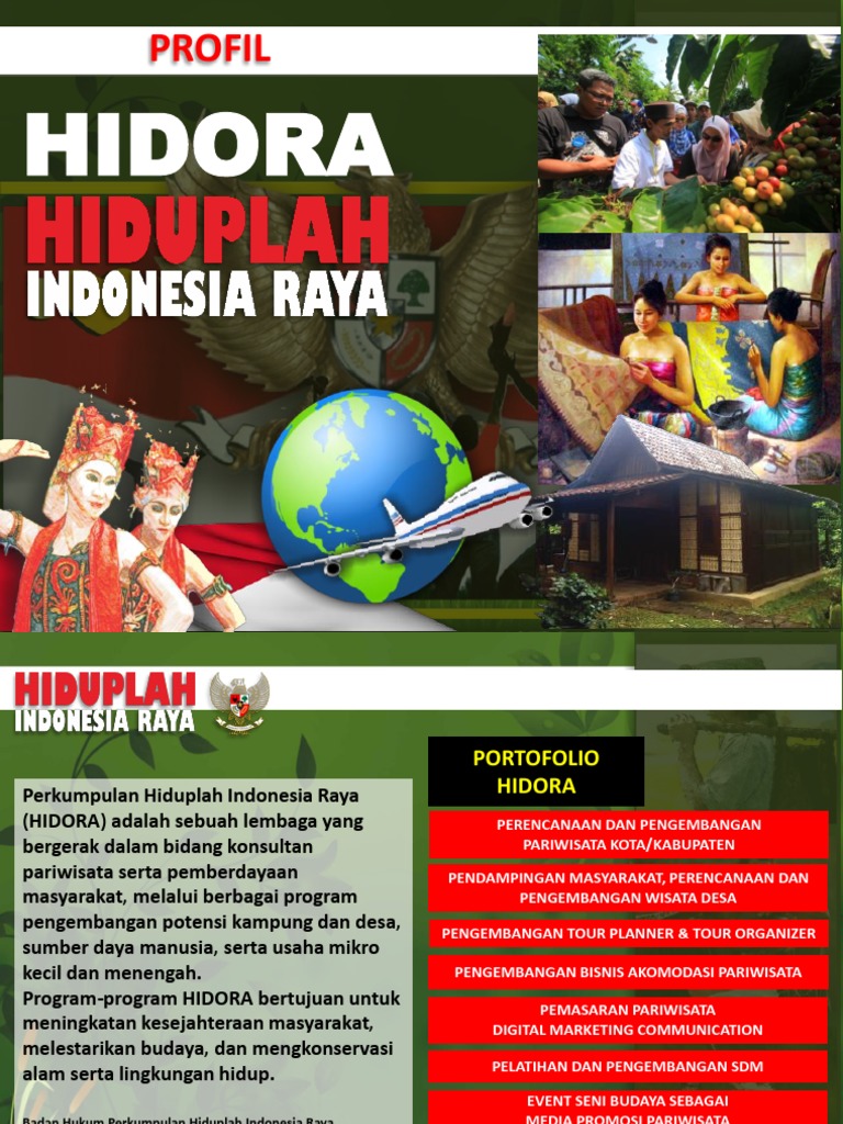 Profil Hidora | PDF