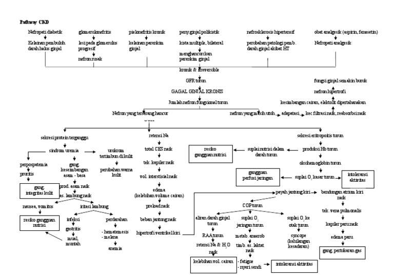 1035 Pathway CKD | PDF | Symptoms And Signs | Kidney