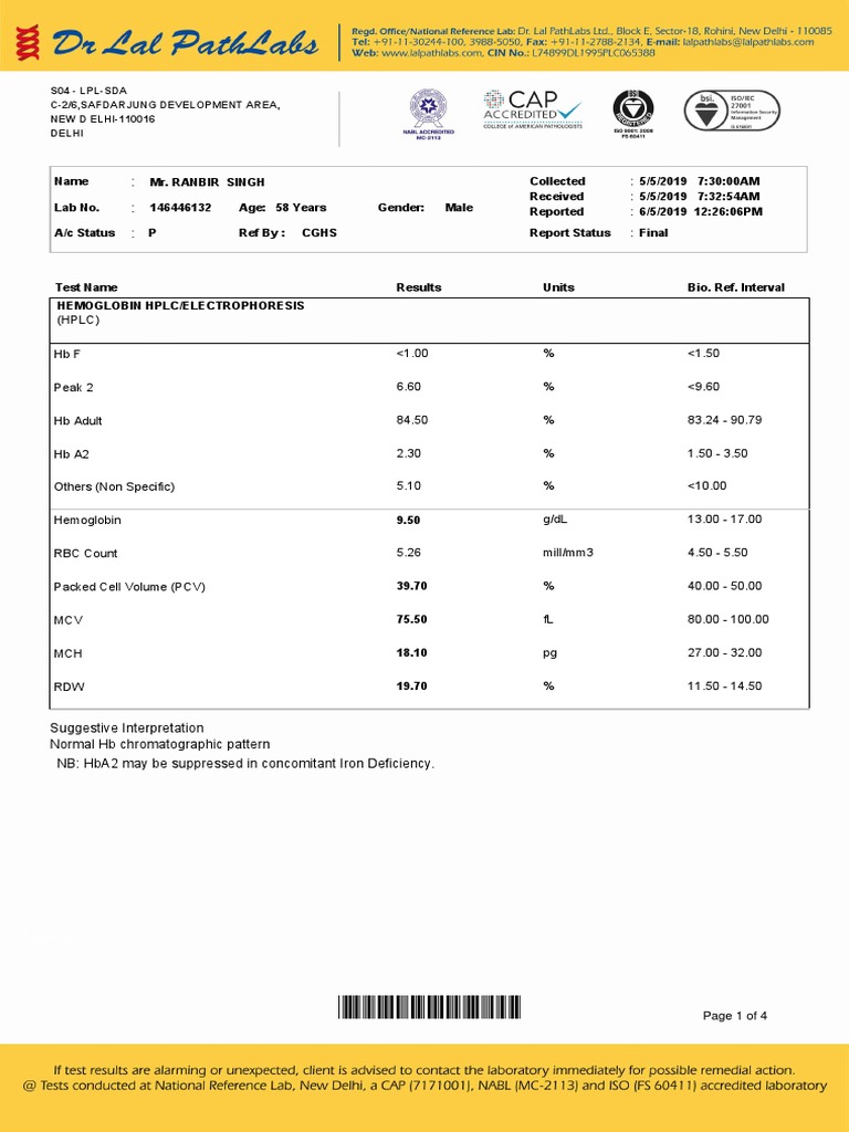Test Report of Ranbir | PDF | Anemia | Iron
