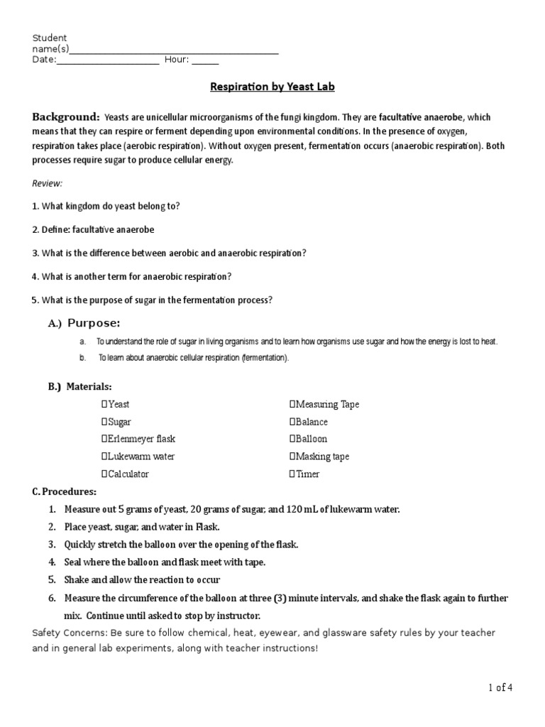 Respiration by Yeast Lab: Background | PDF | Cellular Respiration ...