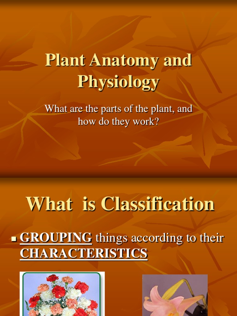Plant Anatomy and Physiology: What Are The Parts of The Plant, and How ...