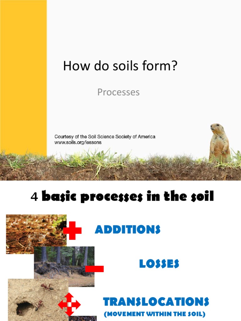 Understanding Soil Formation Processes | PDF