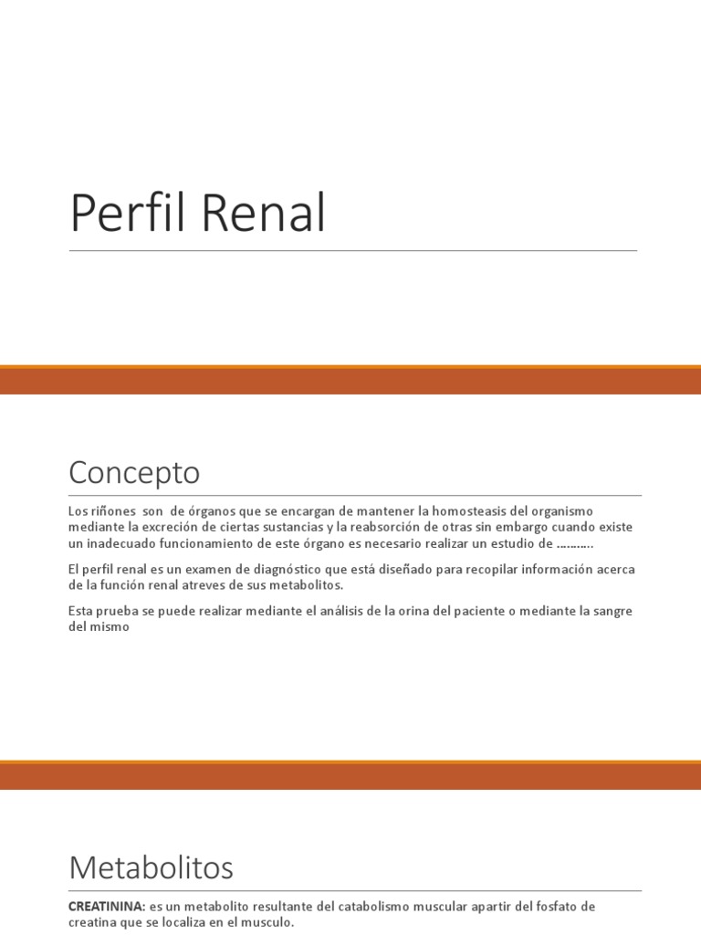 Perfil Renal | PDF | Riñón | Sistema endocrino