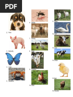 Animales en Mam | PDF | Cocina, comidas y vino | Libros para adolescentes