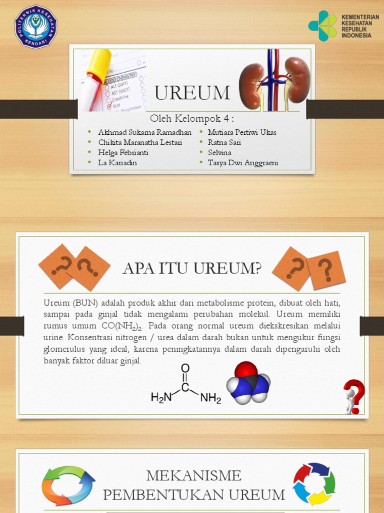 Ureum (PowerPoint) | PDF