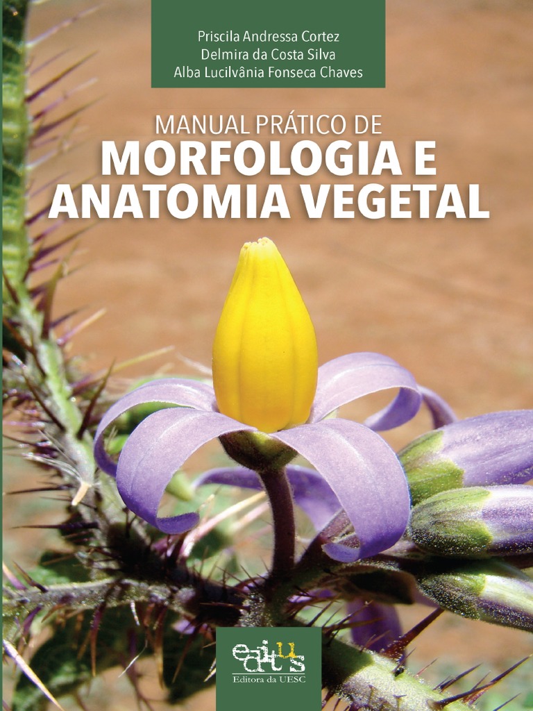 Morfologia Anatomia Vegetal PDF | PDF | Célula (Biologia) | Citoplasma